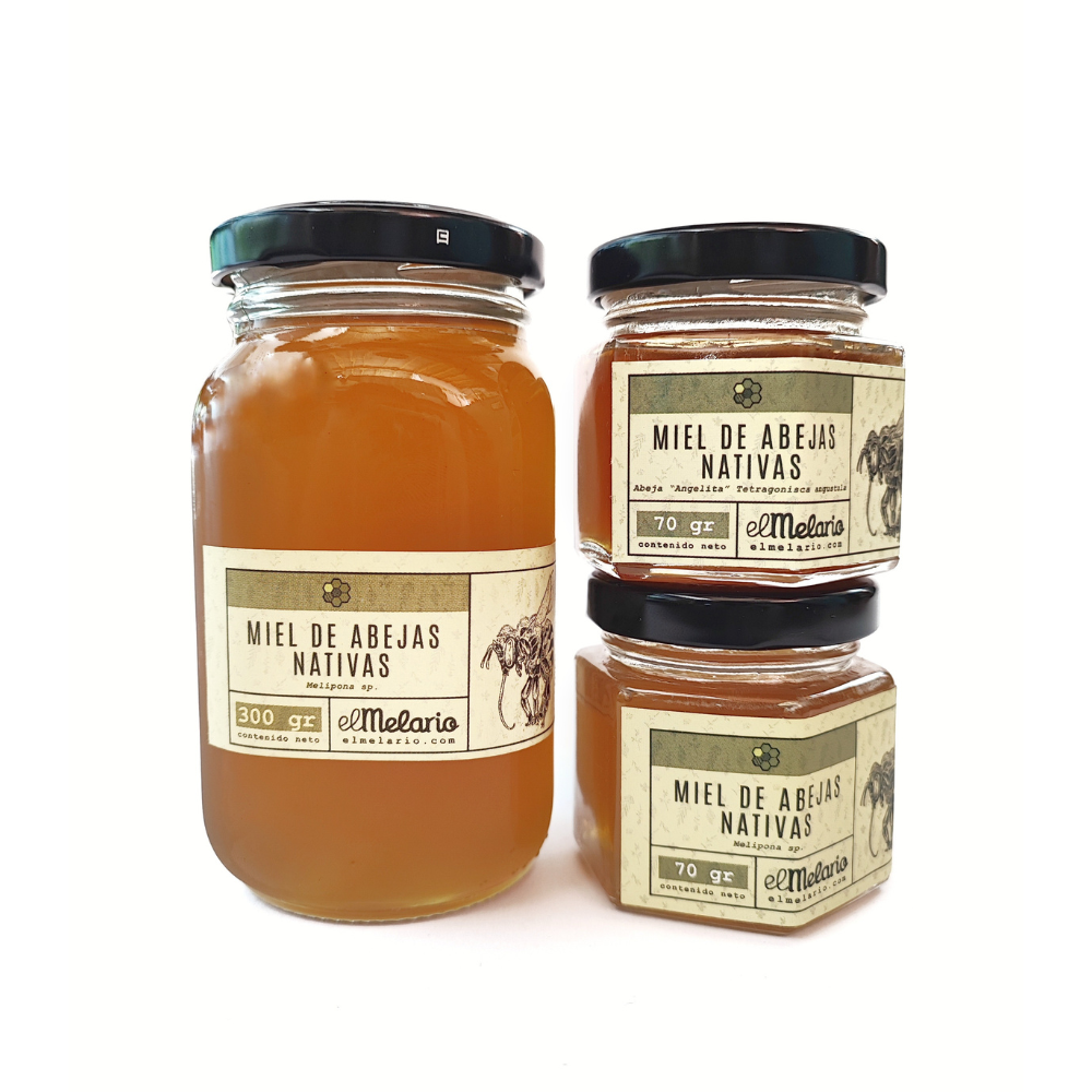 Miel de Abejas Nativas – El Melario